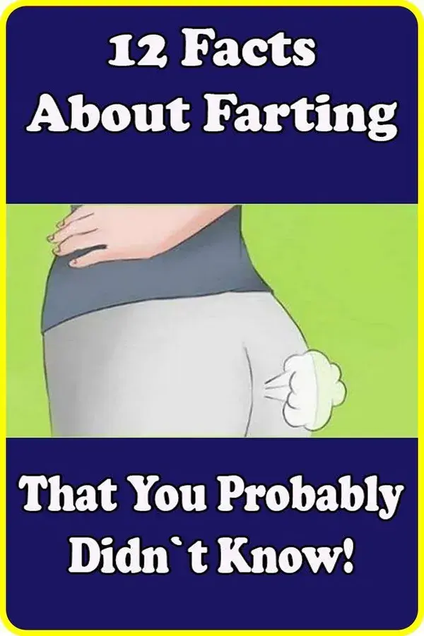 12 Facts About Farting You Probably Didn t Know 12 Facts About Farting You Probably Didn t Know